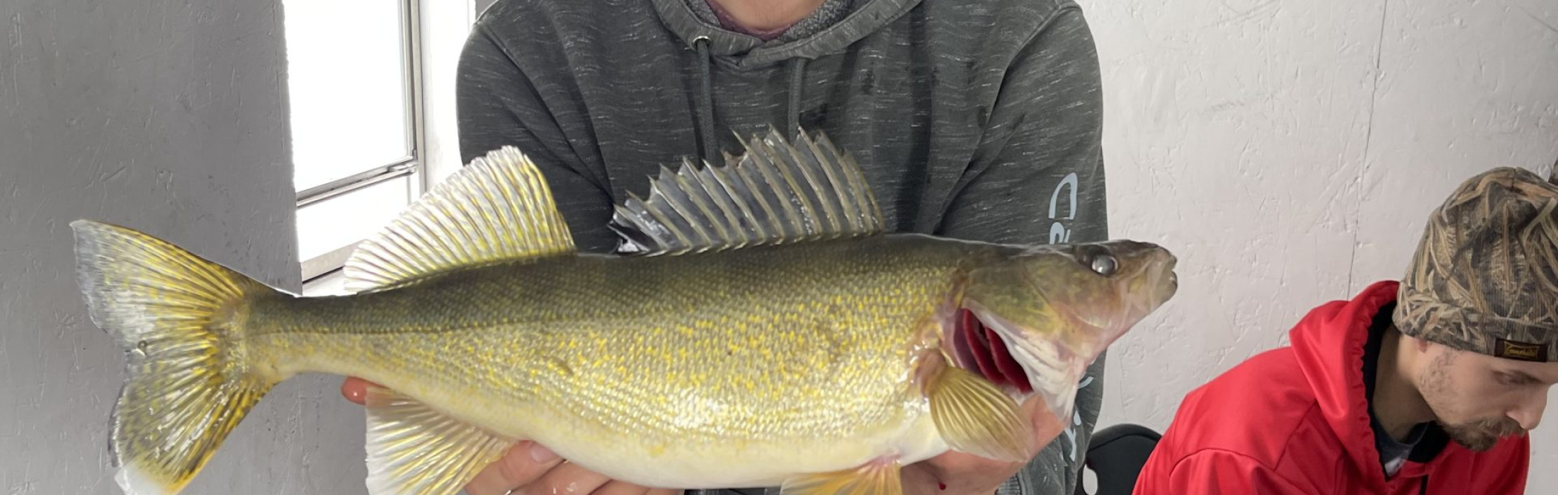 Fishing Report Lake of the Woods | Arnesen's Resort